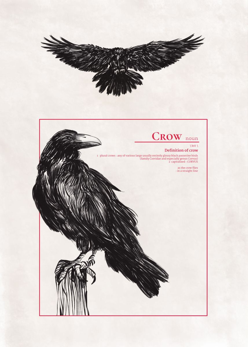 'Two Crows Defined' Poster, picture, metal print, paint by Lisa Stafleu ...