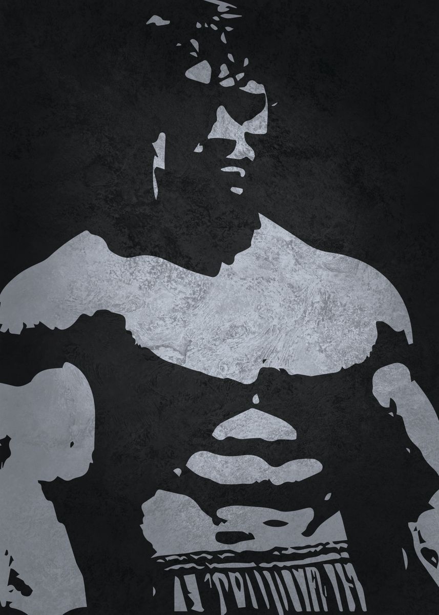 'Arnold Iconic' Poster, picture, metal print, paint by CHAN | Displate