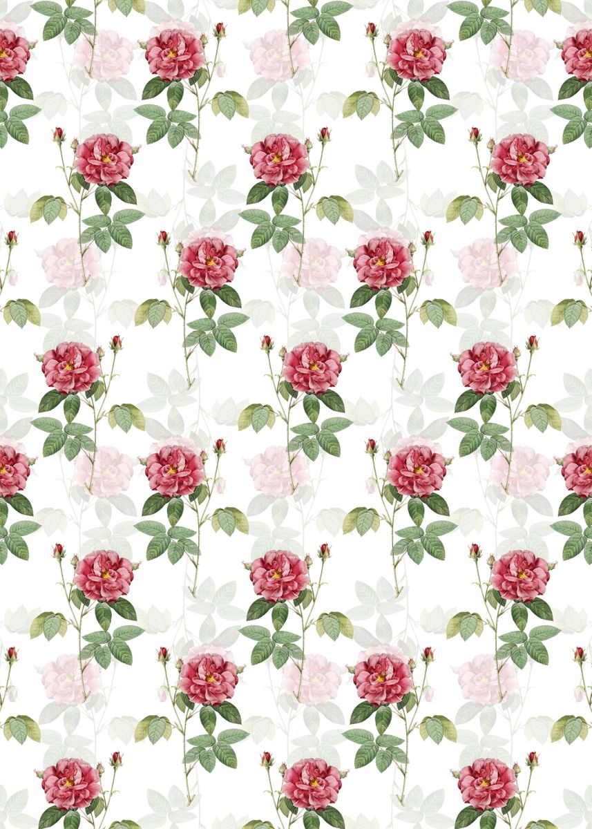 'Floral French Rose Pattern' Poster, picture, metal print, paint by ...