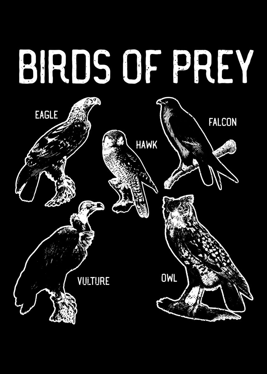 'Birds of Prey' Poster, picture, metal print, paint by DesignsByJnk5 ...