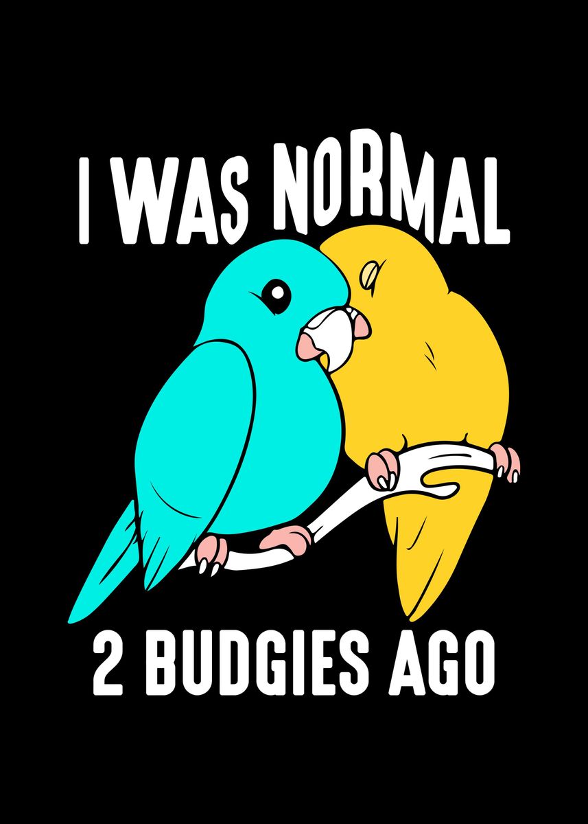 'Budgie Budgeriga' Poster, picture, metal print, paint by Sebastian ...