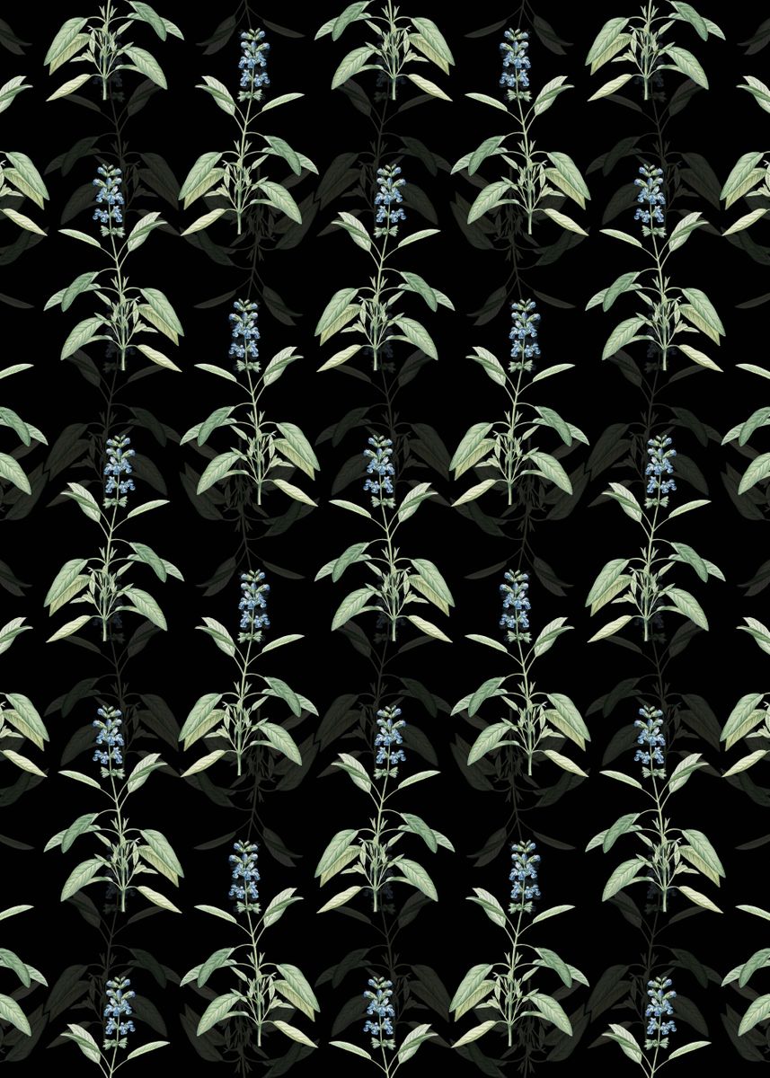 'Floral Sage Plant Pattern' Poster, picture, metal print, paint by Holy ...