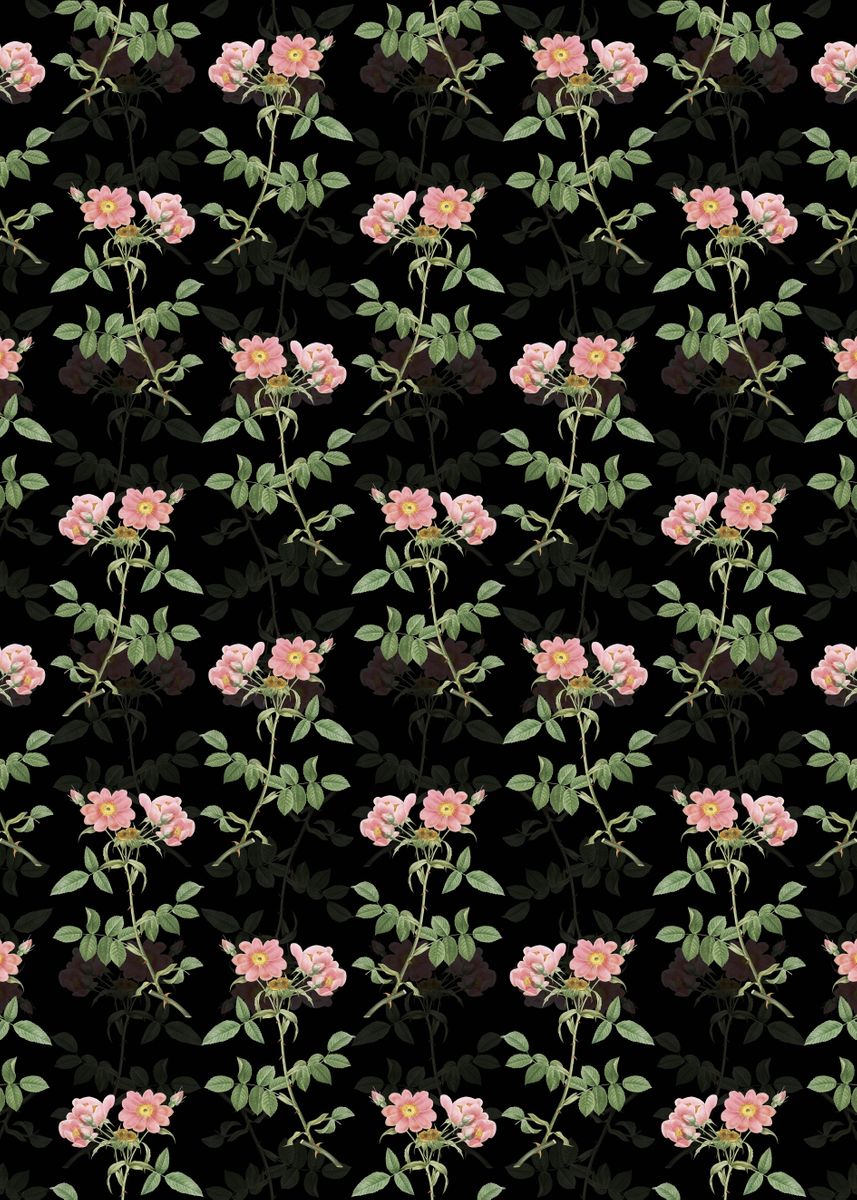 'Lady Monson Rose Bloom' Poster by Holy Rock Design | Displate