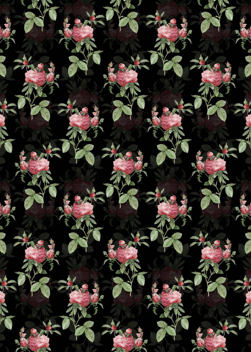 'Black Cabbage Rose Pattern' Poster, picture, metal print, paint by ...