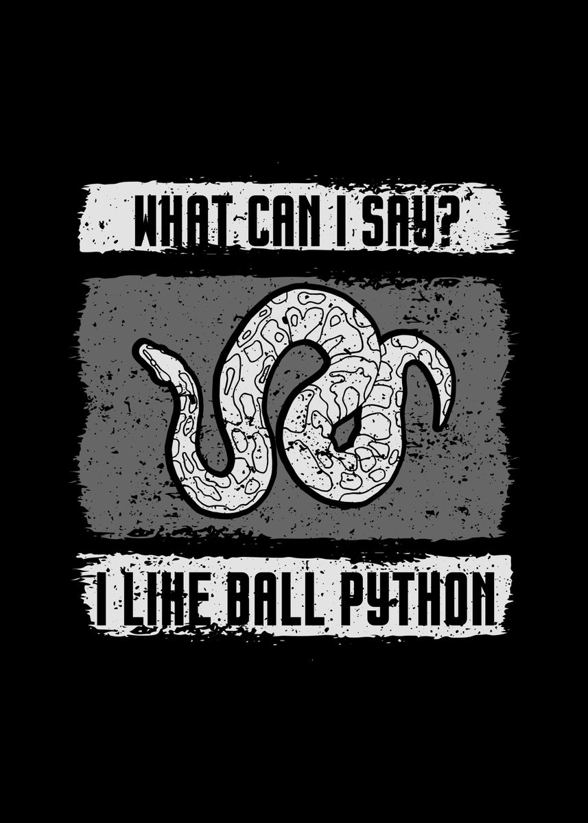 'Ball python' Poster, picture, metal print, paint by Sebastian Wünsche ...