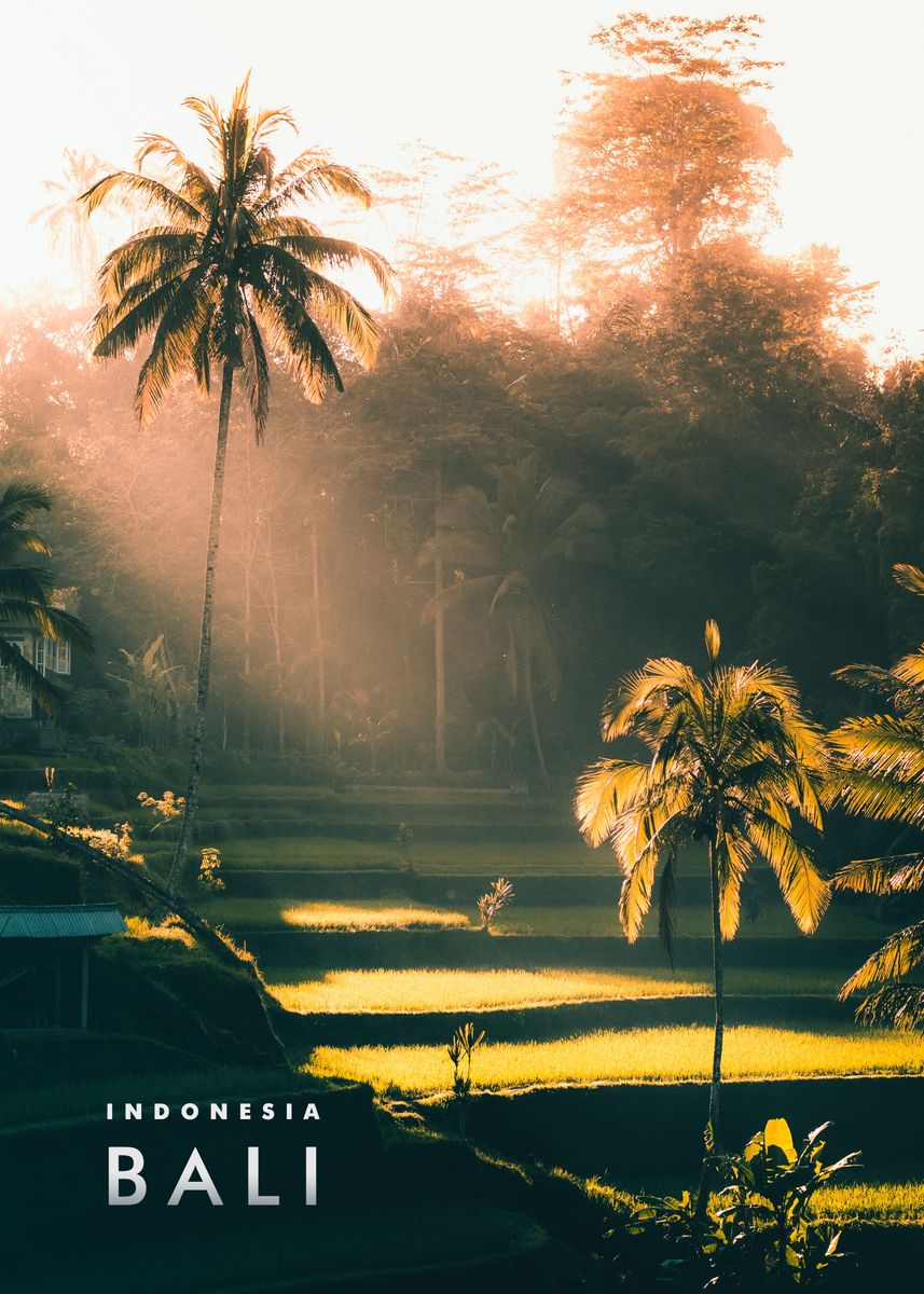 'Bali Indonesia' Poster, picture, metal print, paint by Pitch ...