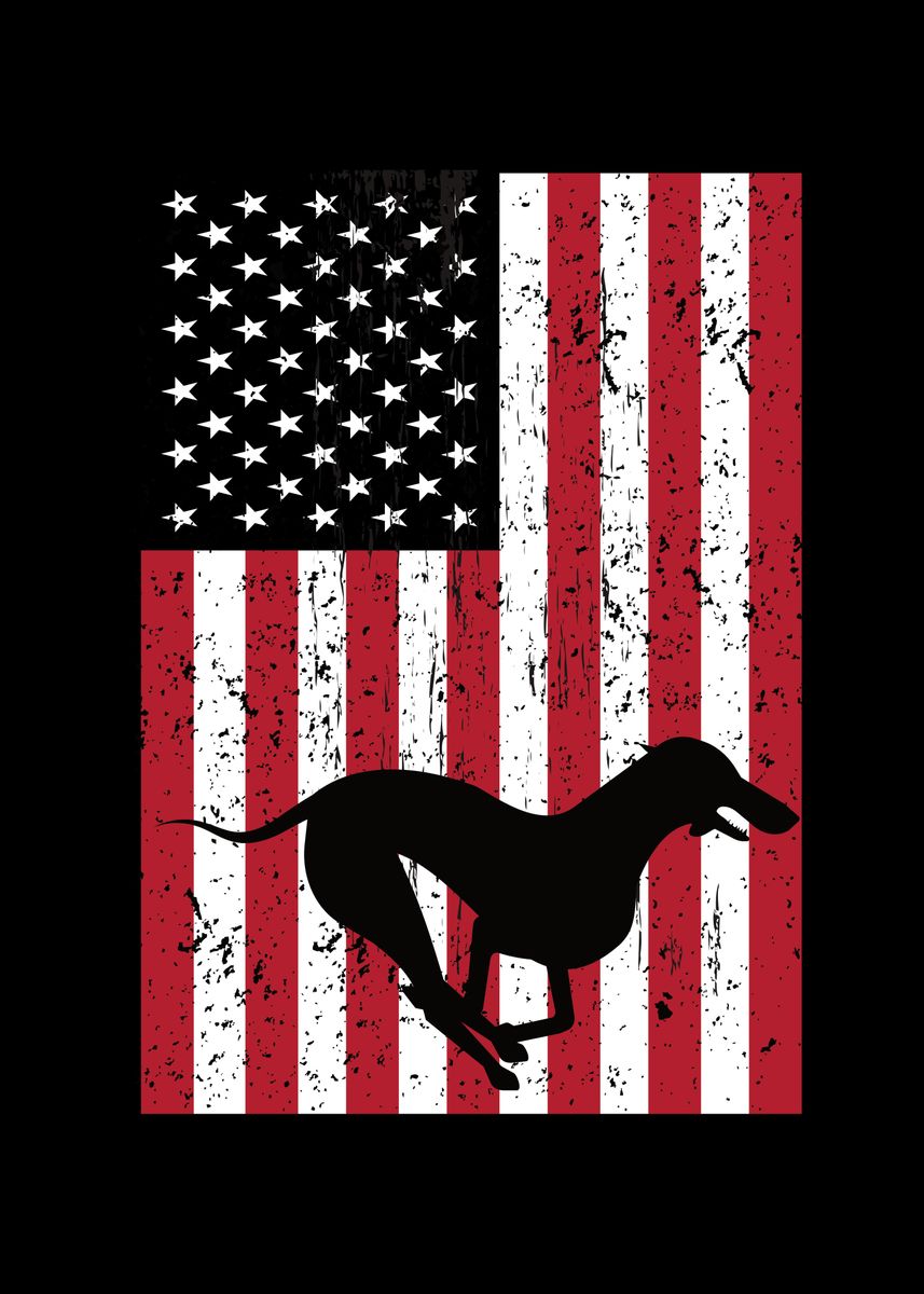 'Greyhound' Poster, picture, metal print, paint by ZS C O M M E R C E ...