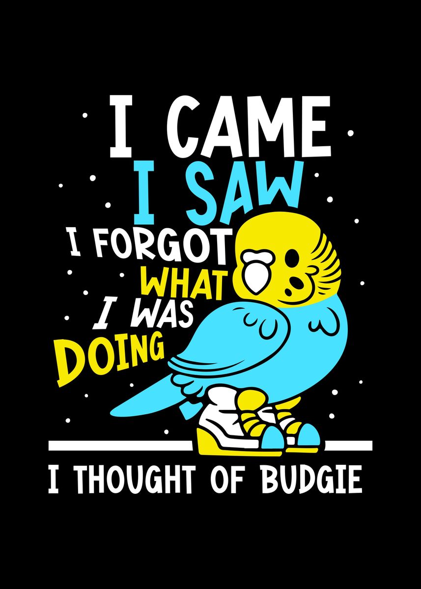 'Budgie Budgeriga' Poster, picture, metal print, paint by Sebastian ...