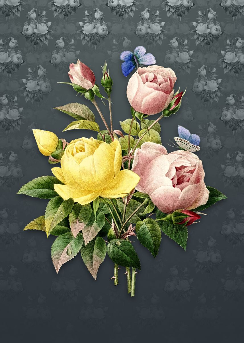 'Vintage Variety of Roses' Poster, picture, metal print, paint by Holy ...