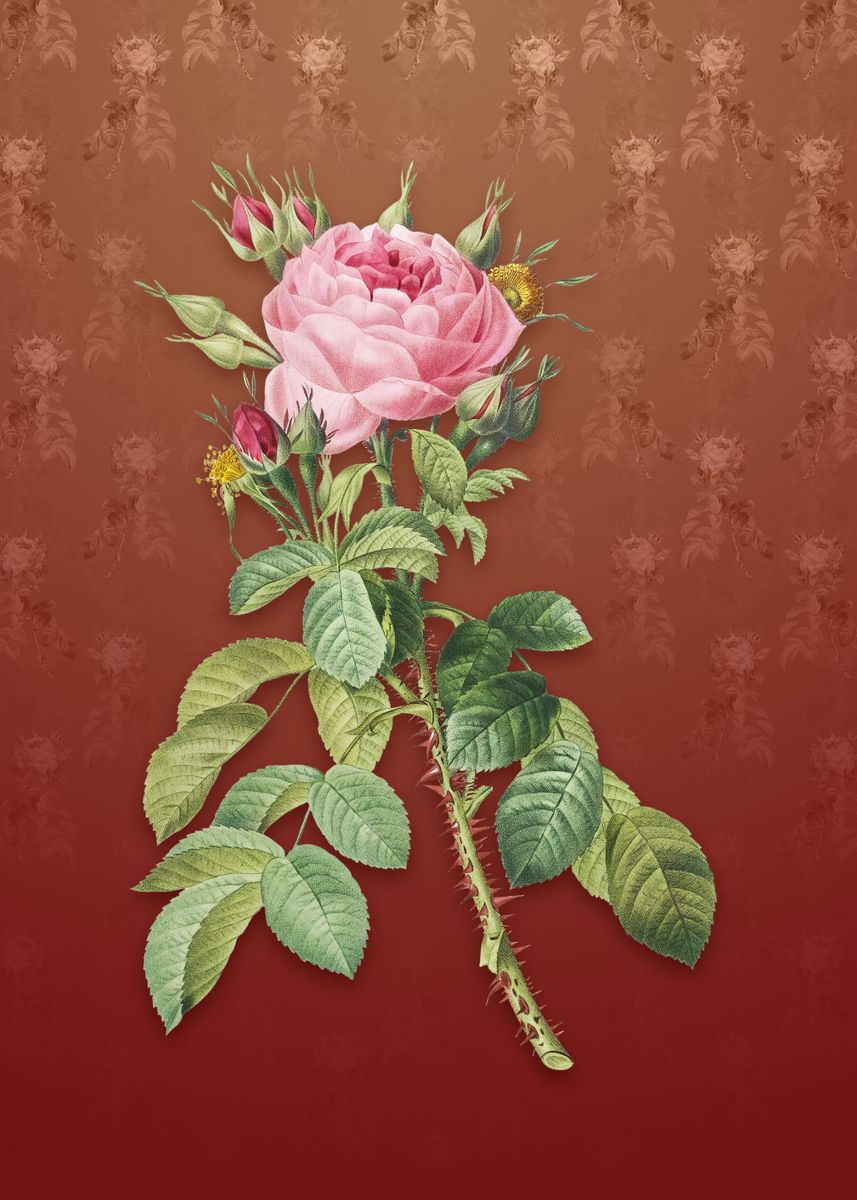'Vintage Four Seasons Rose' Poster, picture, metal print, paint by Holy ...