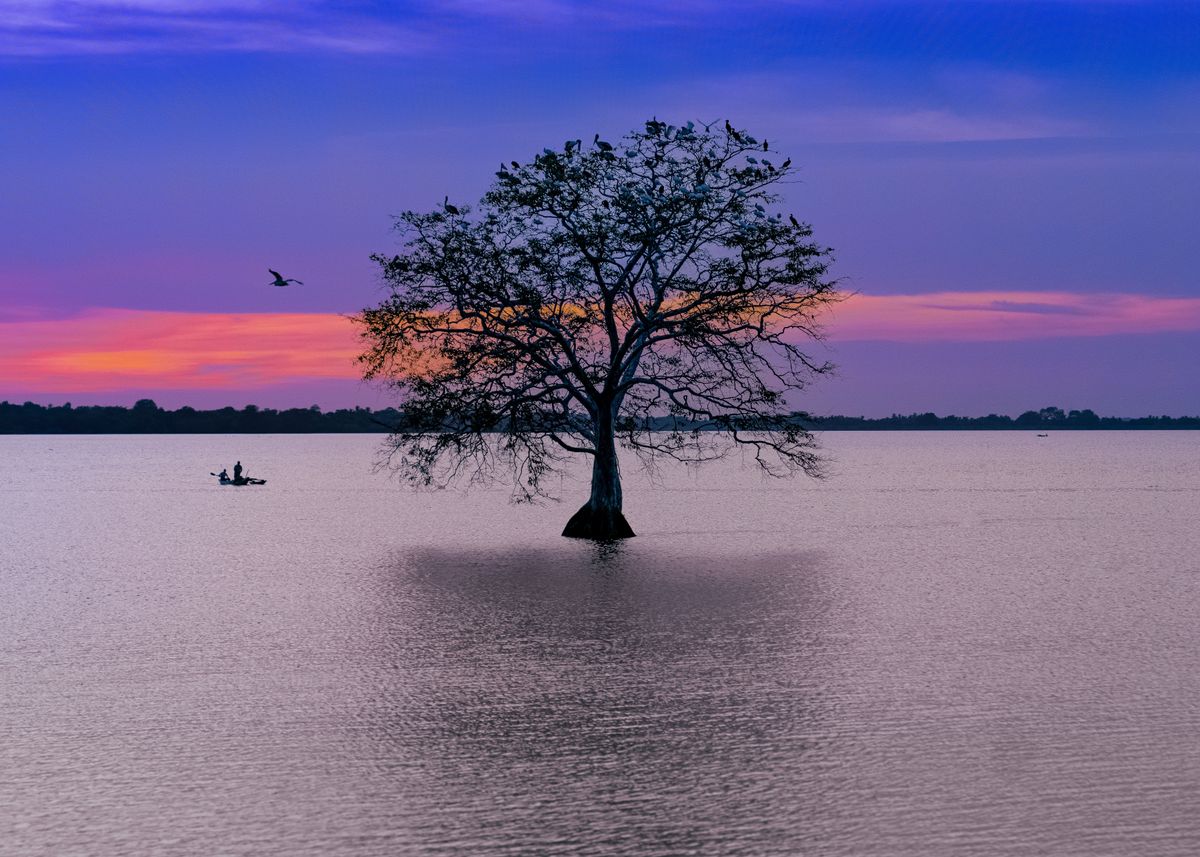 'Purple Dusk' Poster by Isira Sooriyaarachchi | Displate