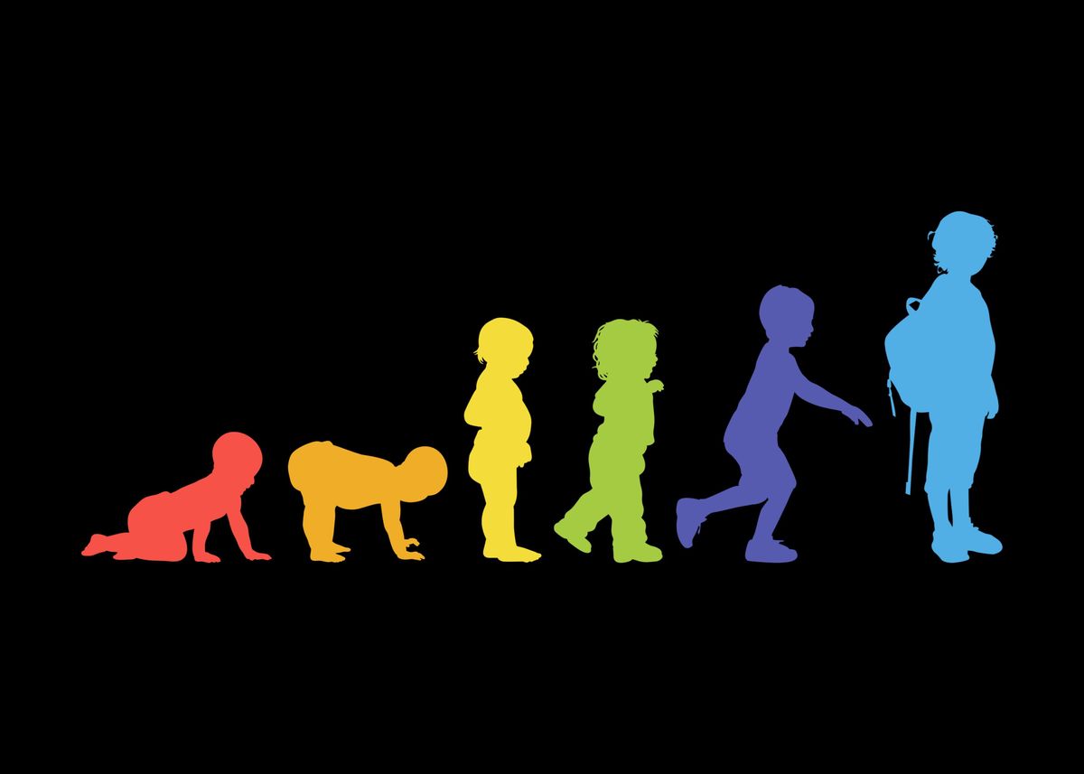 'Evolution Kindergarten' Poster by professionaldesigns | Displate