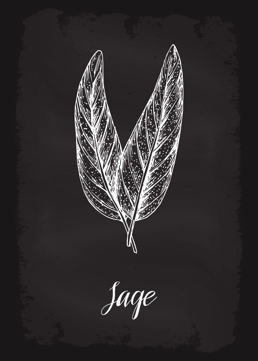 'Kitchen Herbs Sage' Poster by dkDesign | Displate