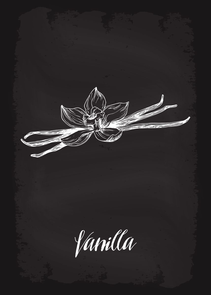 'Kitchen Herbs Vanilla' Poster, picture, metal print, paint by dkDesign ...