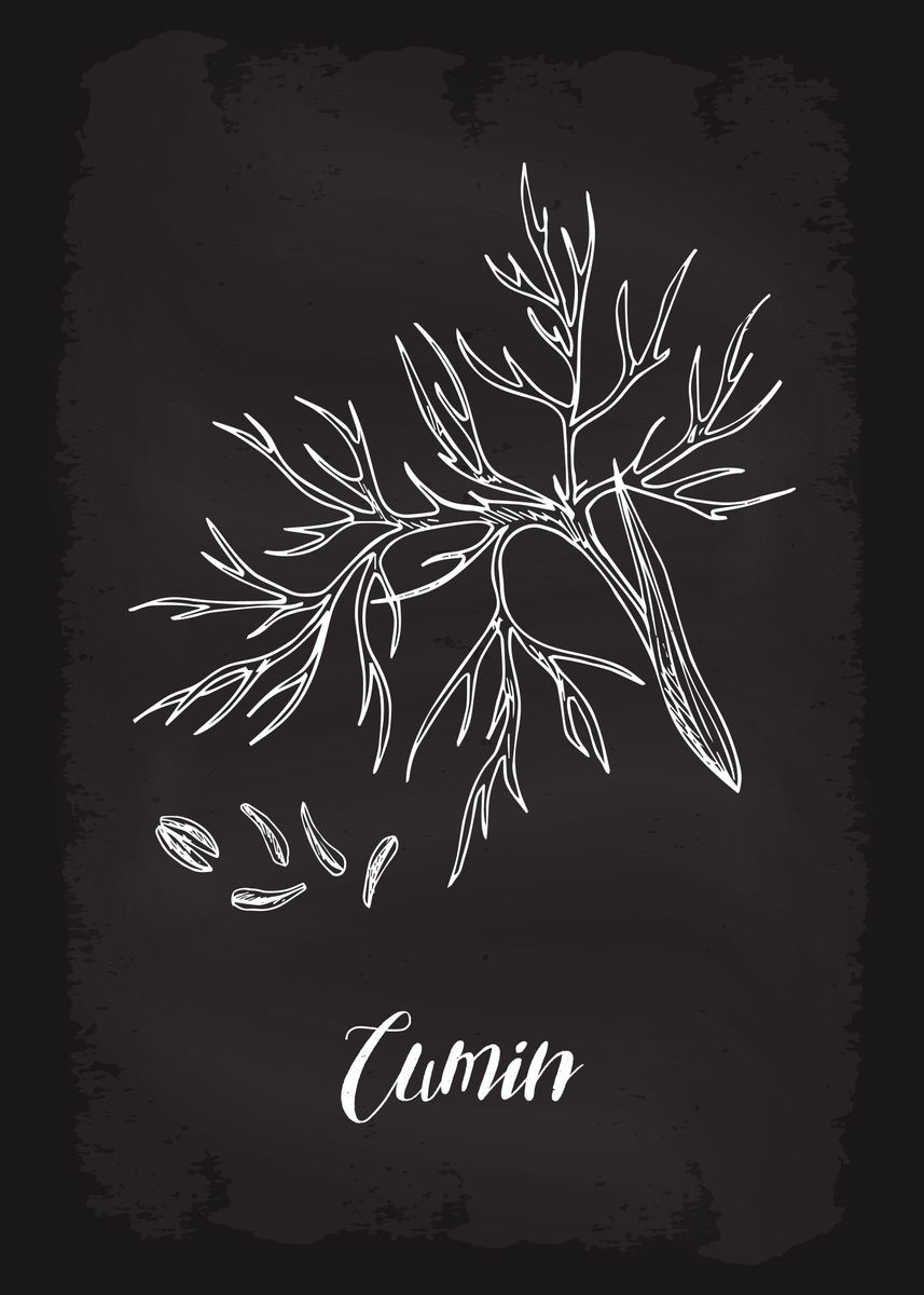 'Kitchen Herbs Cumin' Poster, picture, metal print, paint by dkDesign ...