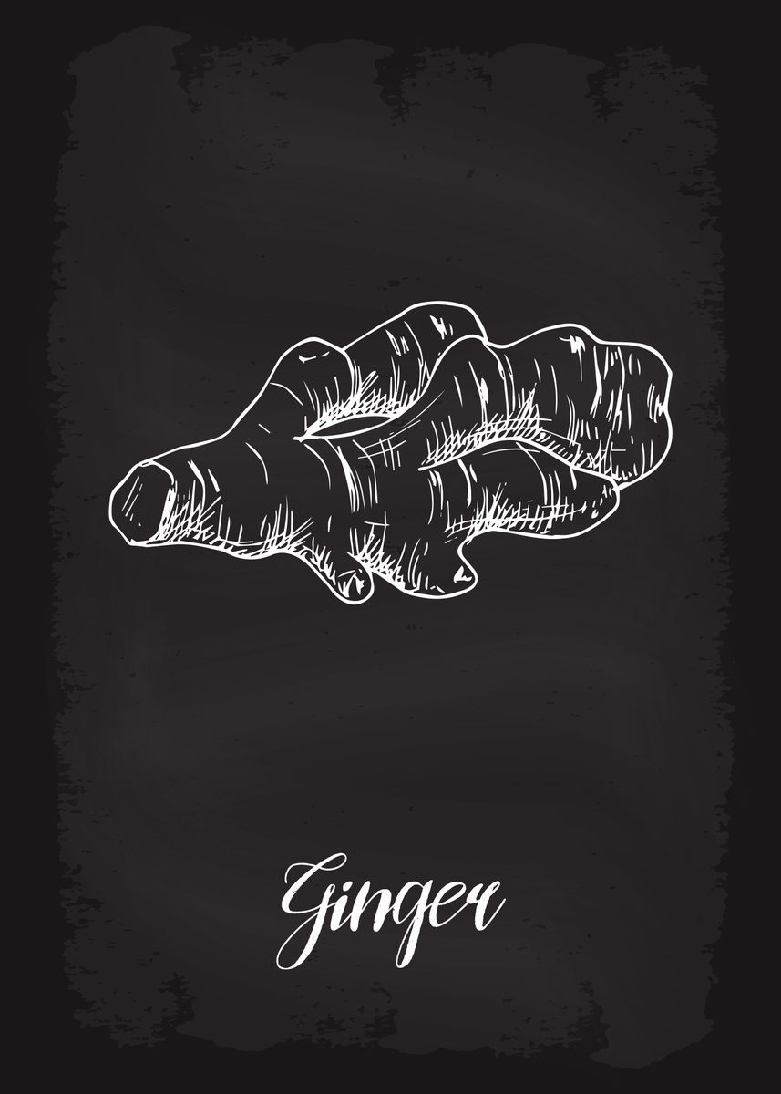 'Kitchen Herbs Ginger' Poster, picture, metal print, paint by dkDesign ...