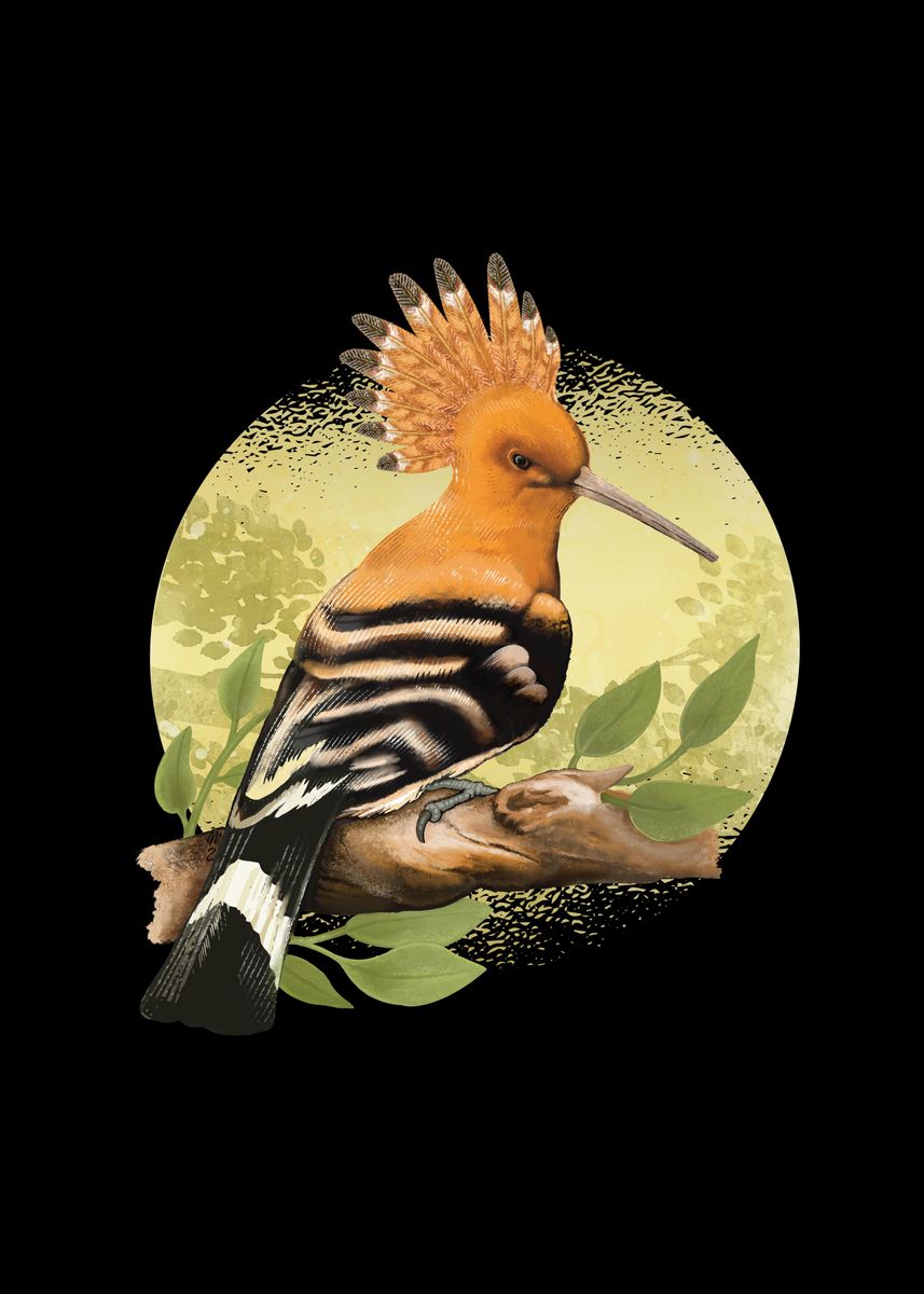 'Hoopoe Bird Illustration' Poster, picture, metal print, paint by ...