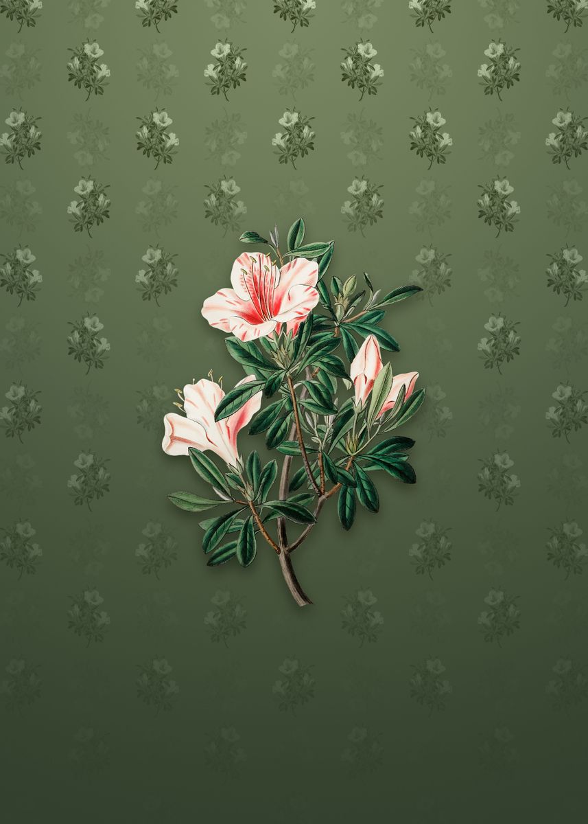'Variegated Chinese Azalea' Poster, picture, metal print, paint by Holy ...