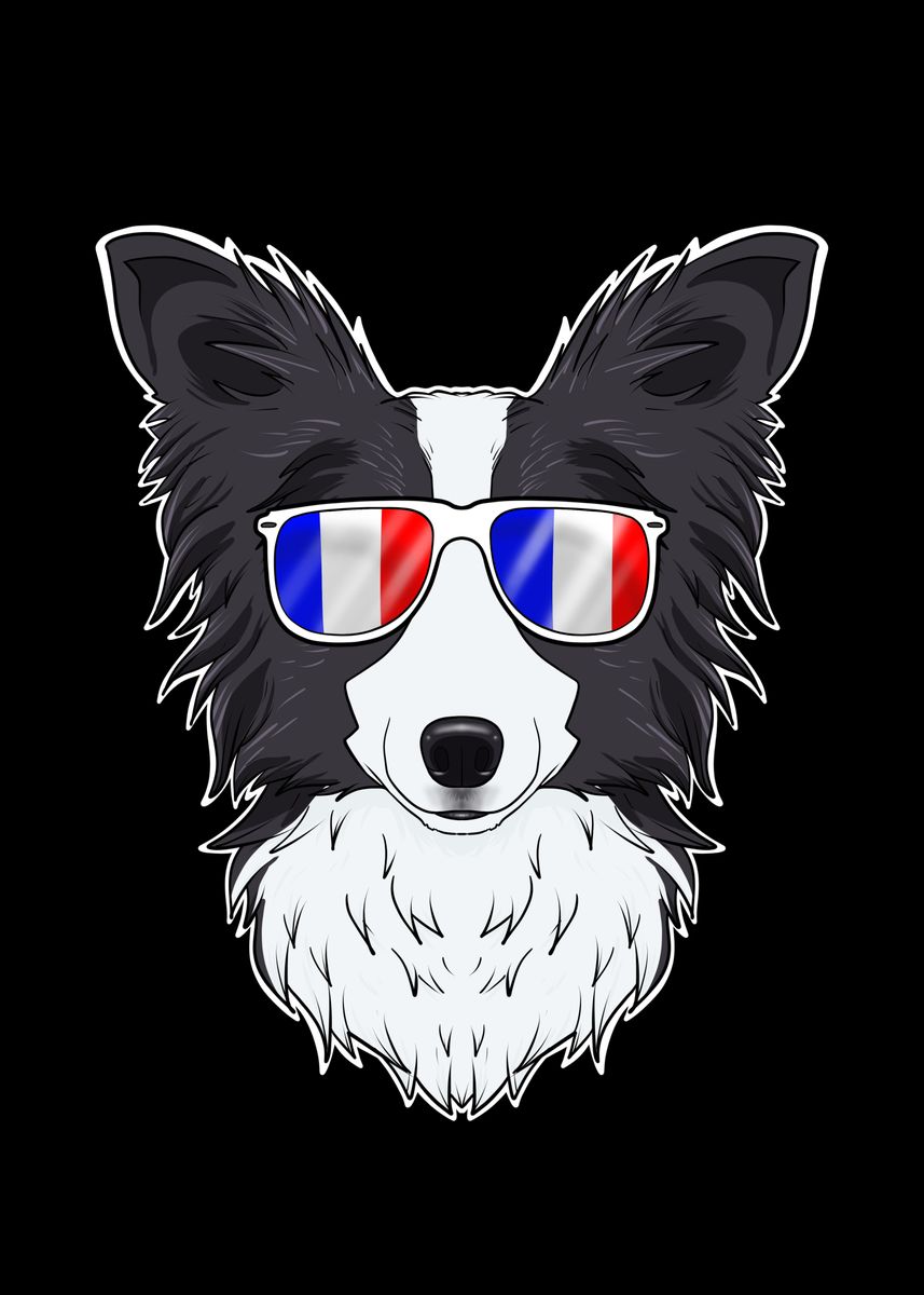 'Border Collie France' Poster, picture, metal print, paint by ...