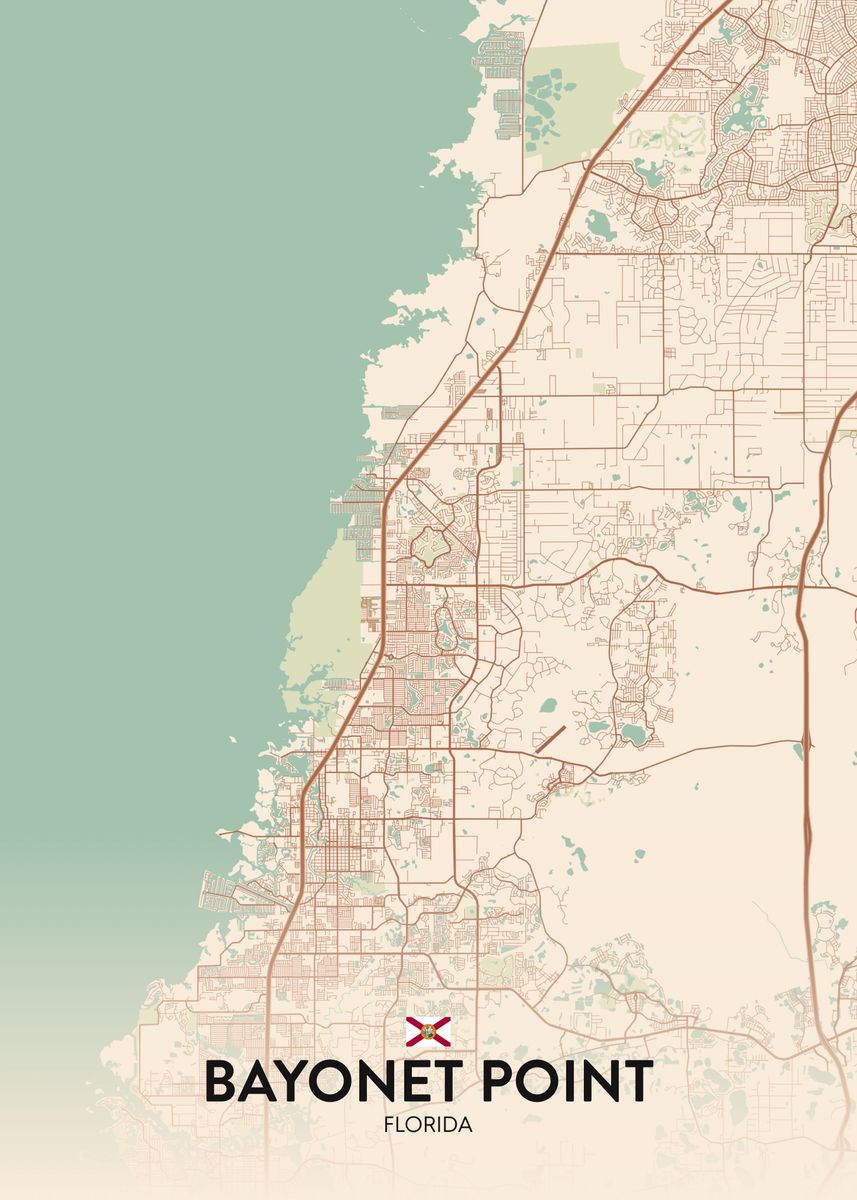 'Bayonet Point FL' Poster, picture, metal print, paint by IMR Designs ...