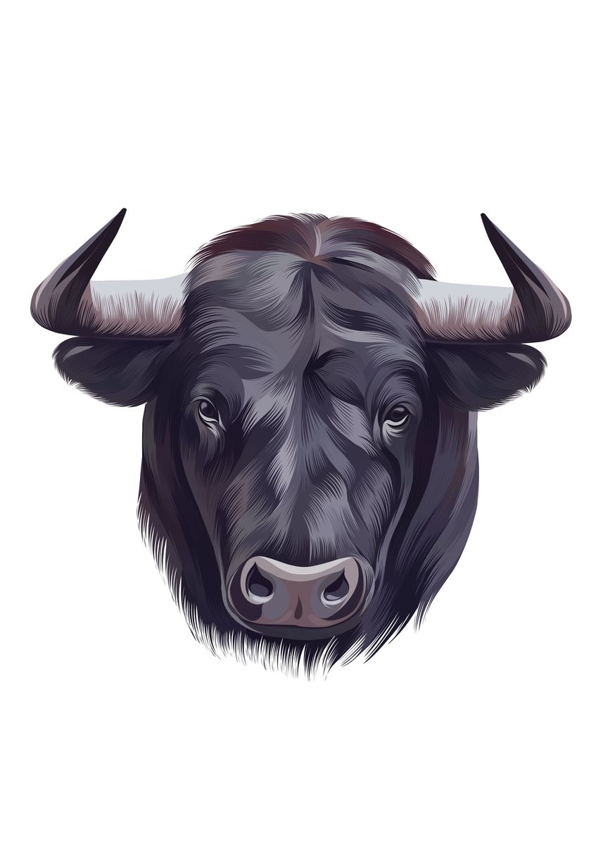 'Bull head' Poster, picture, metal print, paint by Muh Aslan | Displate