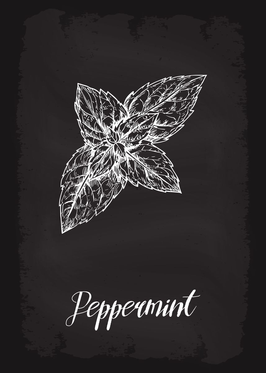 'Kitchen Herbs Peppermint' Poster, picture, metal print, paint by ...