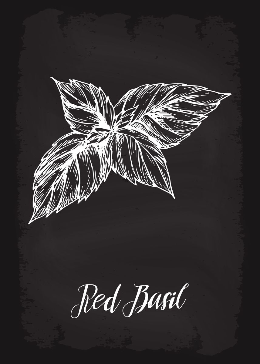 'Kitchen Herbs Red Basil' Poster, picture, metal print, paint by ...
