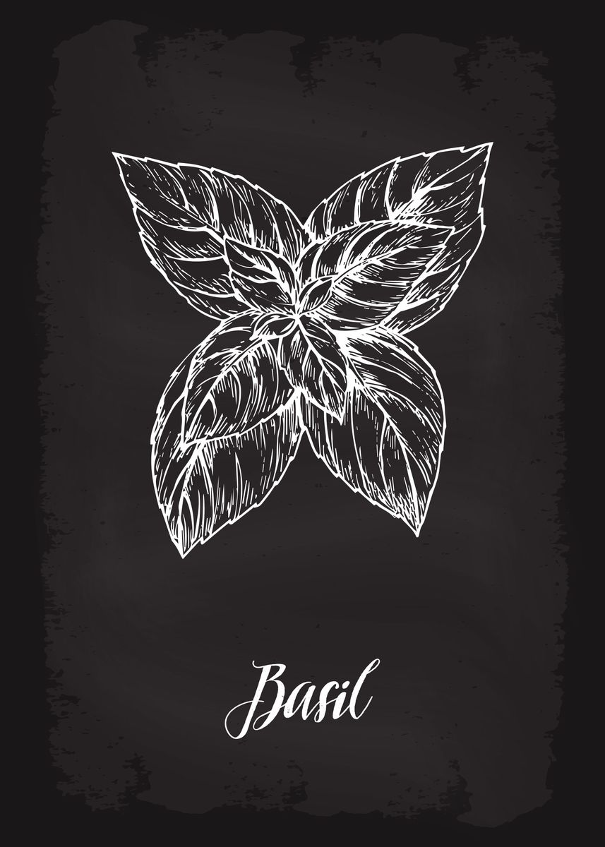 'Kitchen Herbs Basil' Poster, picture, metal print, paint by dkDesign ...