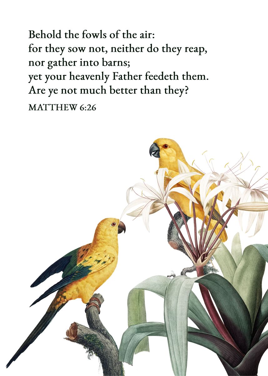 'Behold the Fowls' Poster, picture, metal print, paint by ABConcepts ...