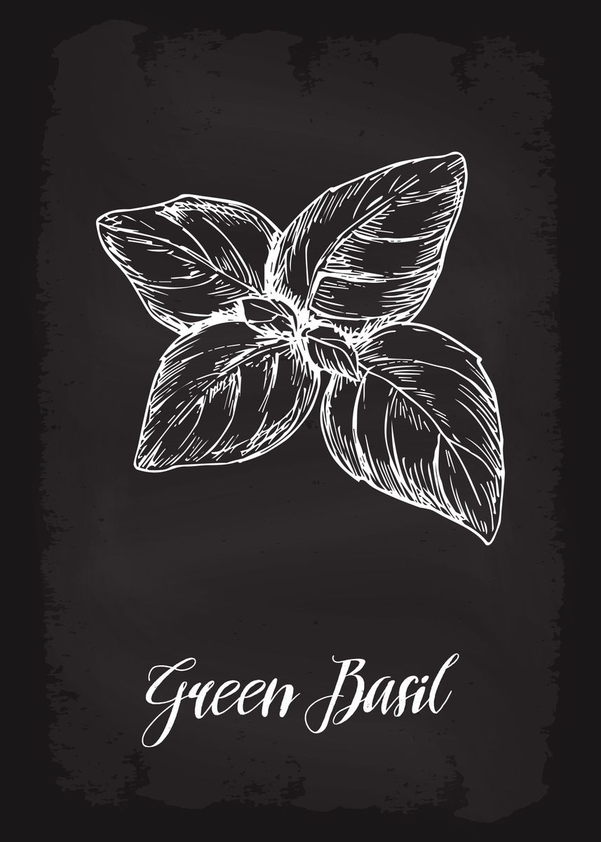 'Kitchen Herbs Green Basil' Poster by dkDesign | Displate