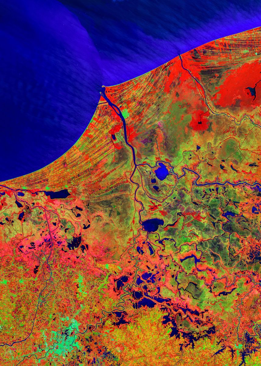 'Mexico Biosphere' Poster, picture, metal print, paint by GISARTISTS ...