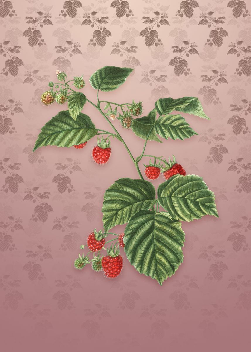 'Raspberry on Dusty Pink' Poster, picture, metal print, paint by Holy ...