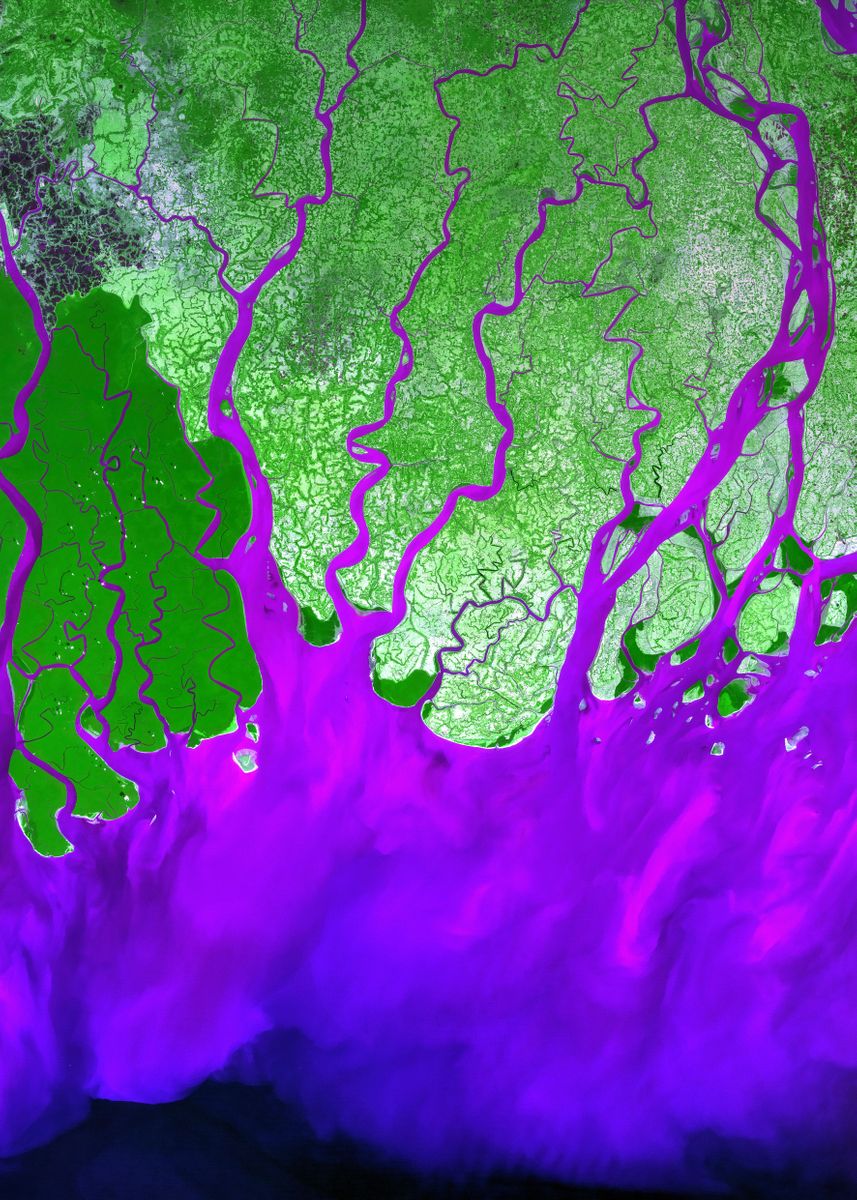 'Ganges Delta' Poster by GISARTISTS | Displate