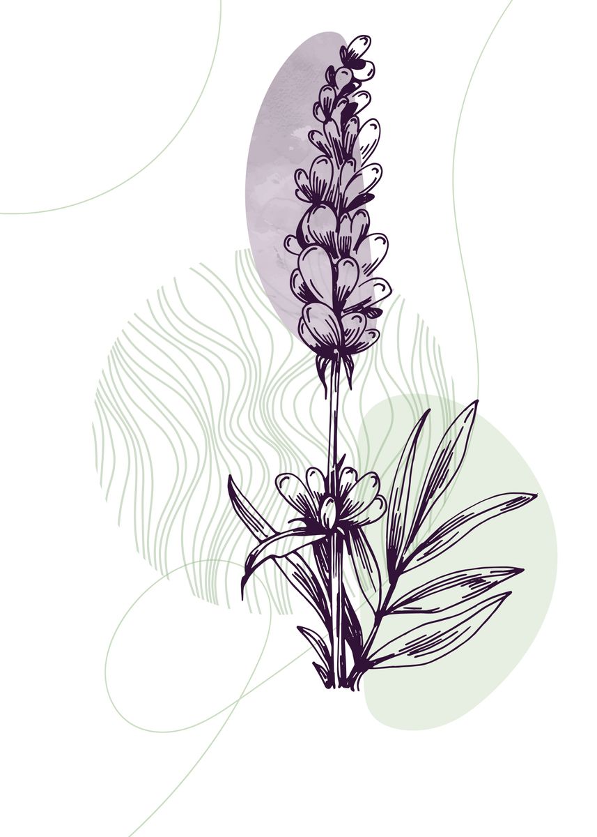 'Lavender Botanical Nordic' Poster by Samira Yanushkova | Displate