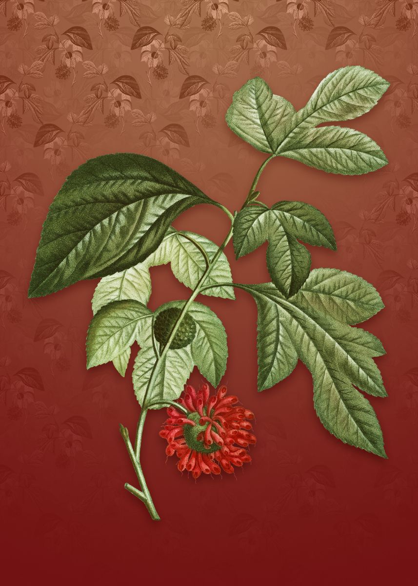 'Paper Mulberry Flower' Poster by Holy Rock Design | Displate