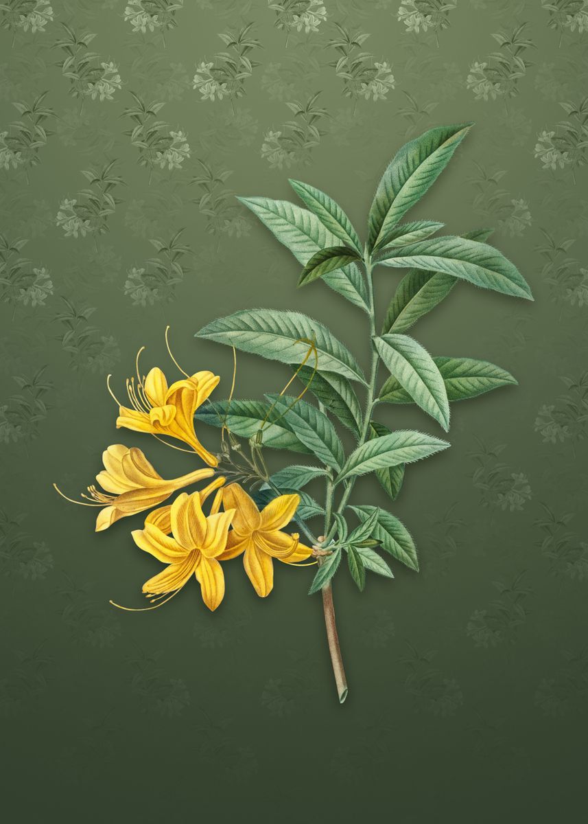 'Vintage Yellow Azalea' Poster, picture, metal print, paint by Holy ...