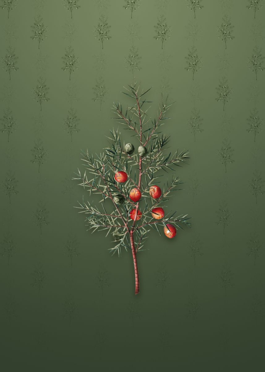 'Vintage Common Juniper' Poster by Holy Rock Design | Displate