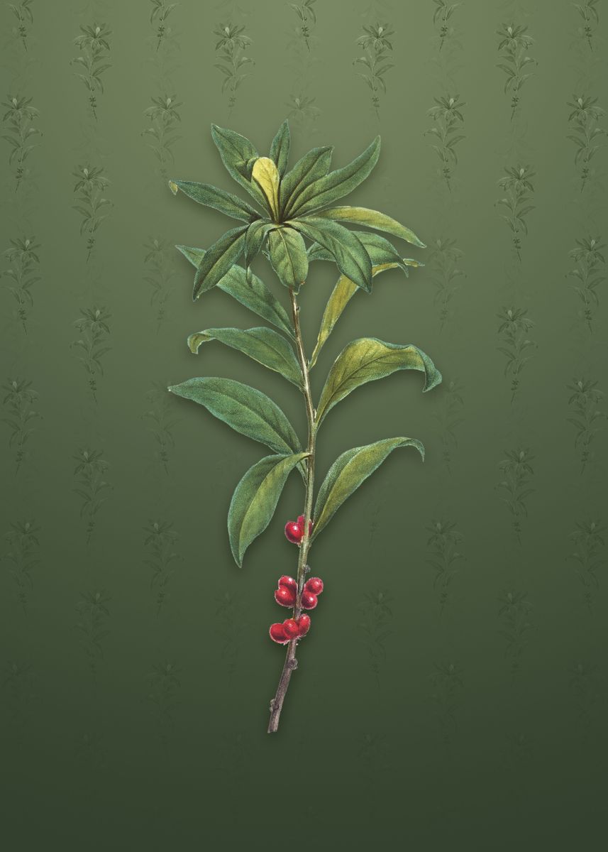 'February Daphne Flowers' Poster by Holy Rock Design | Displate