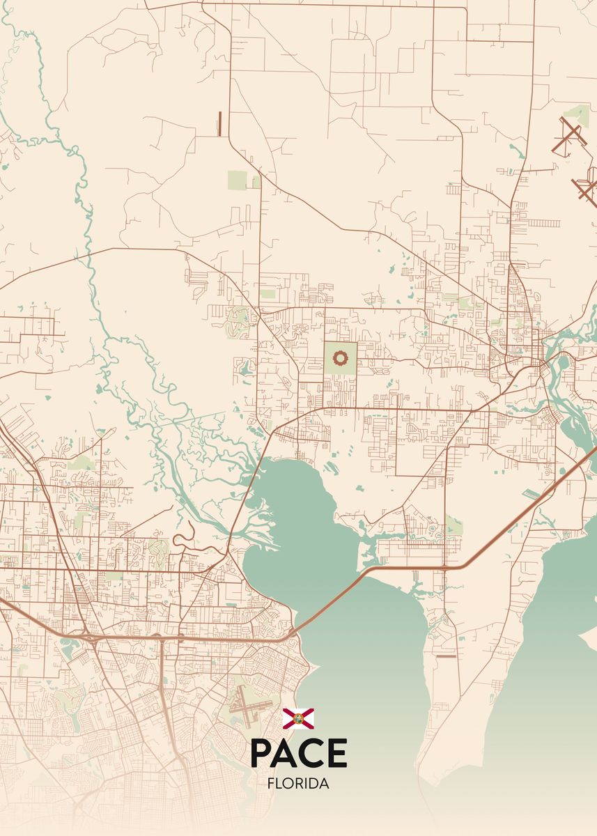 'Pace FL' Poster by IMR Designs | Displate