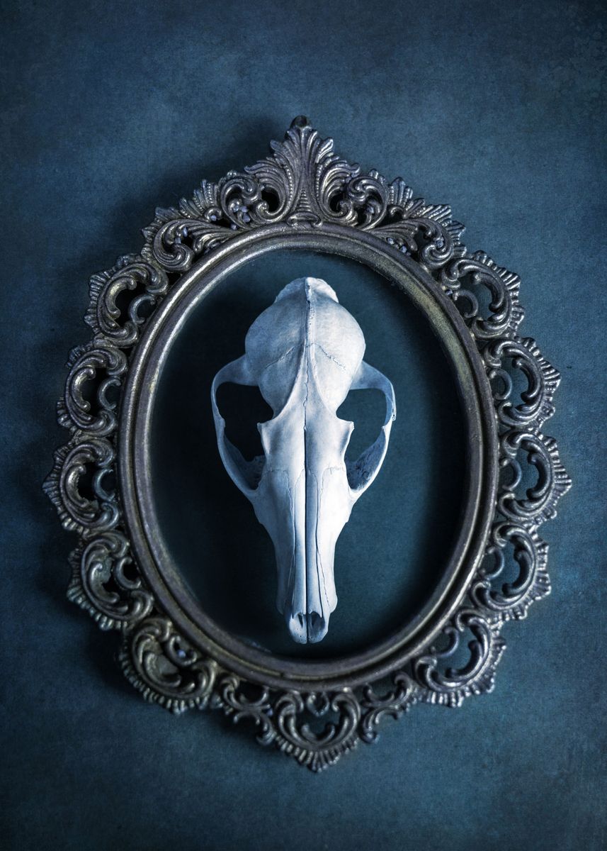 'Skull portraits I' Poster, picture, metal print, paint by Jaroslaw ...