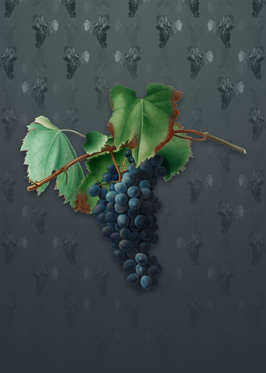 'Grape Vine on Slate Gray' Poster, picture, metal print, paint by Holy ...
