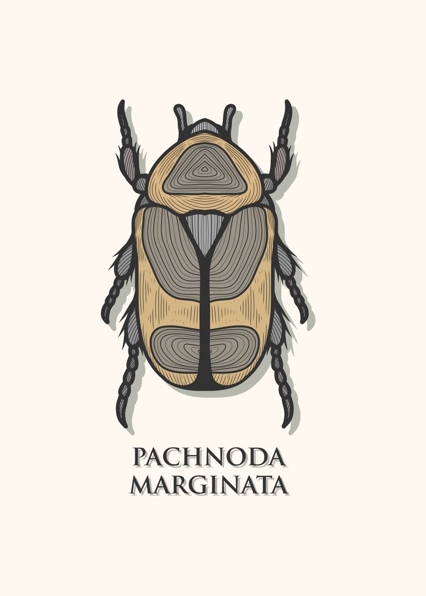 'Sun Beetle' Poster by Milhad Art | Displate