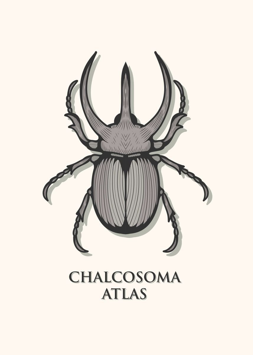 'Atlas Beetle' Poster, picture, metal print, paint by Milhad Art | Displate