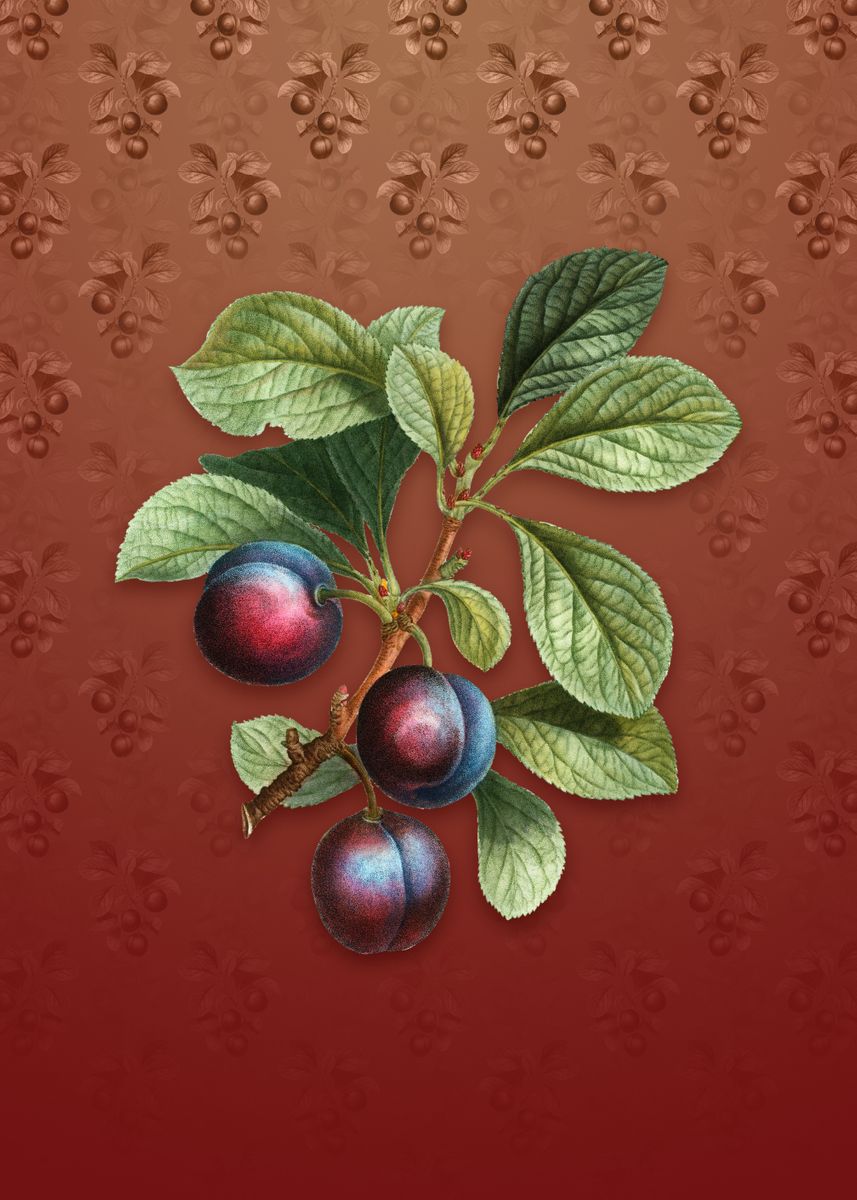 'Vintage Cherry Plum on Red' Poster, picture, metal print, paint by ...