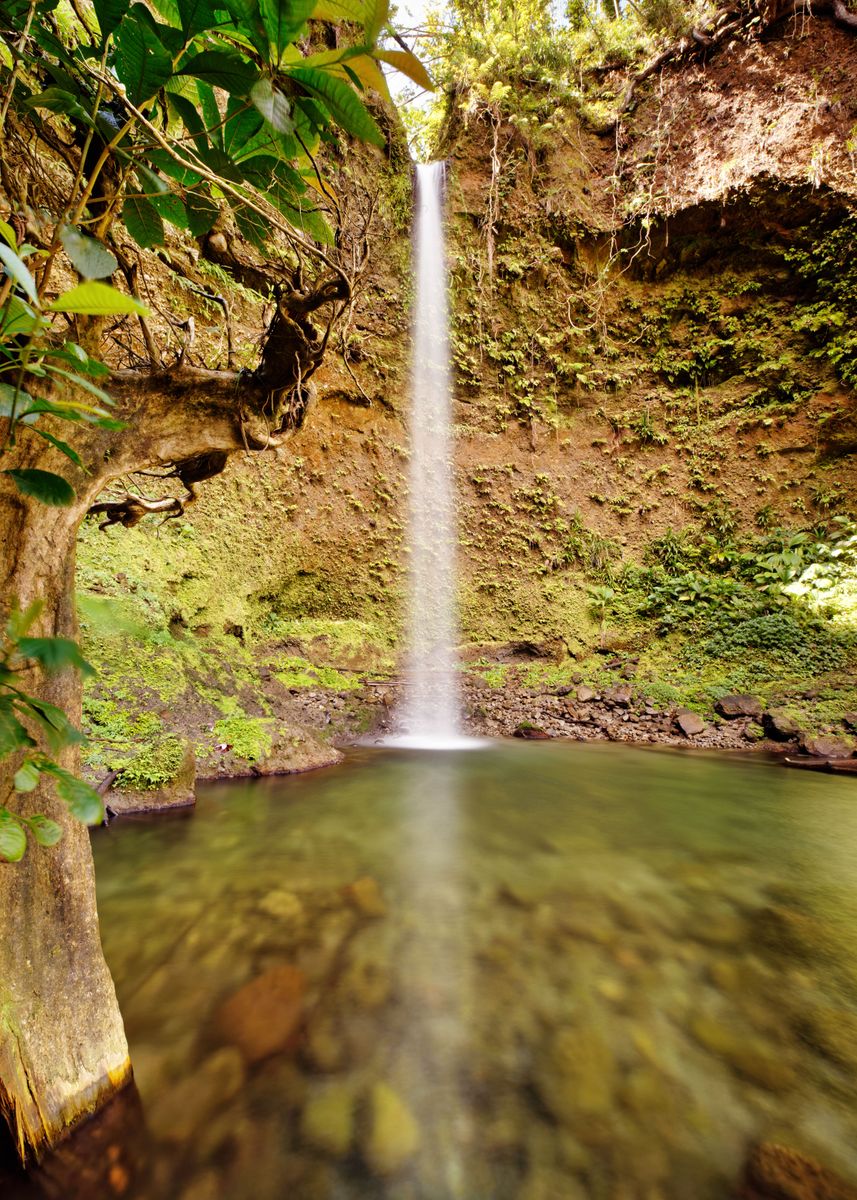'Waterfall in Dominica' Poster, picture, metal print, paint by Ralf ...