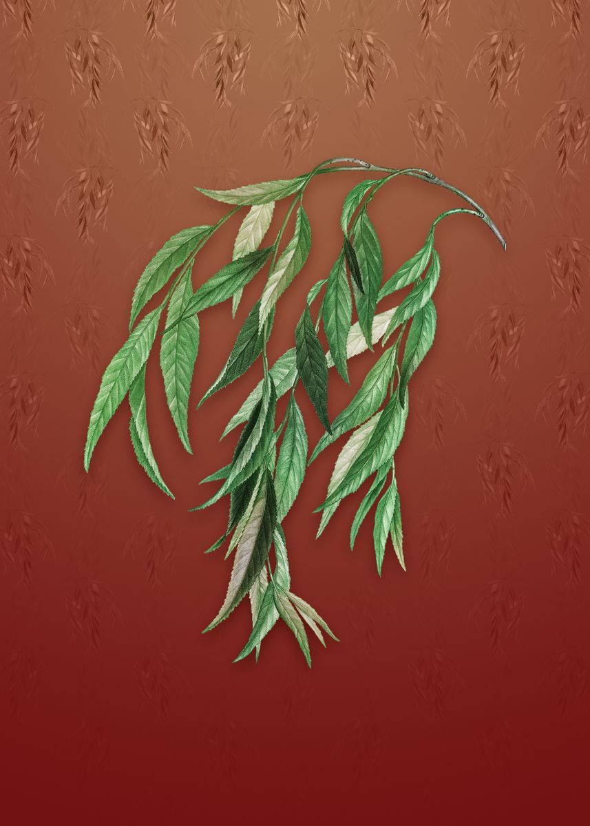 'Vintage Babylon Willow' Poster, picture, metal print, paint by Holy ...