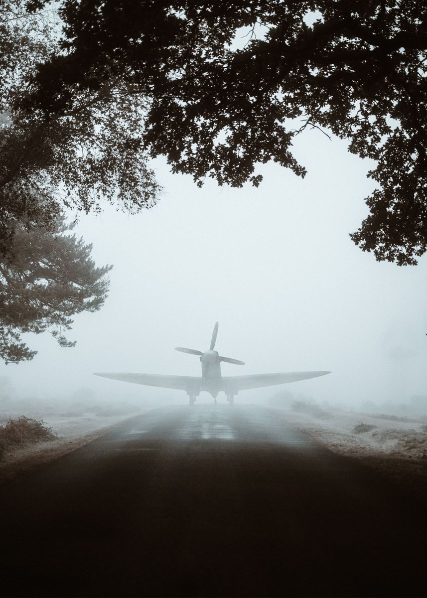 'the edge' Poster, picture, metal print, paint by cookaynne | Displate