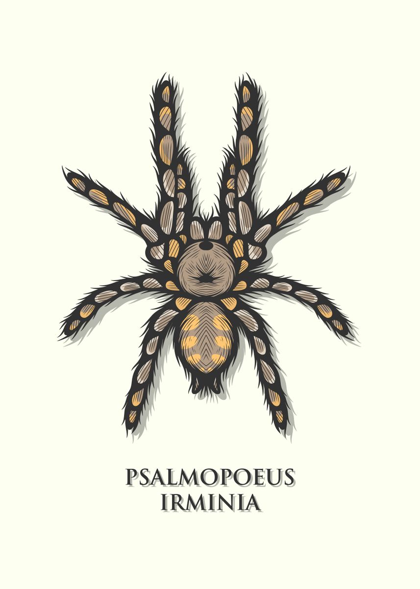 'Venezuelan Tiger Tarantula' Poster, picture, metal print, paint by ...