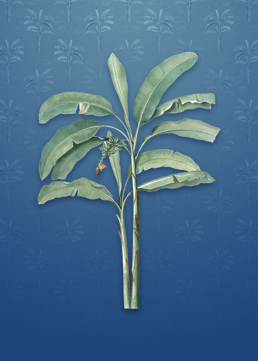 'Vintage Banana Tree' Poster by Holy Rock Design | Displate