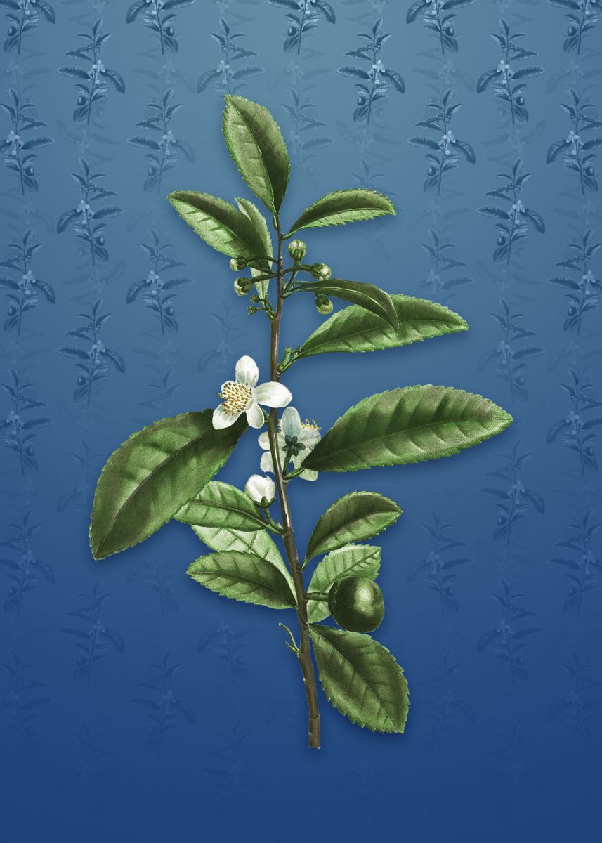 'Tea Tree on Bahama Blue' Poster, picture, metal print, paint by Holy ...